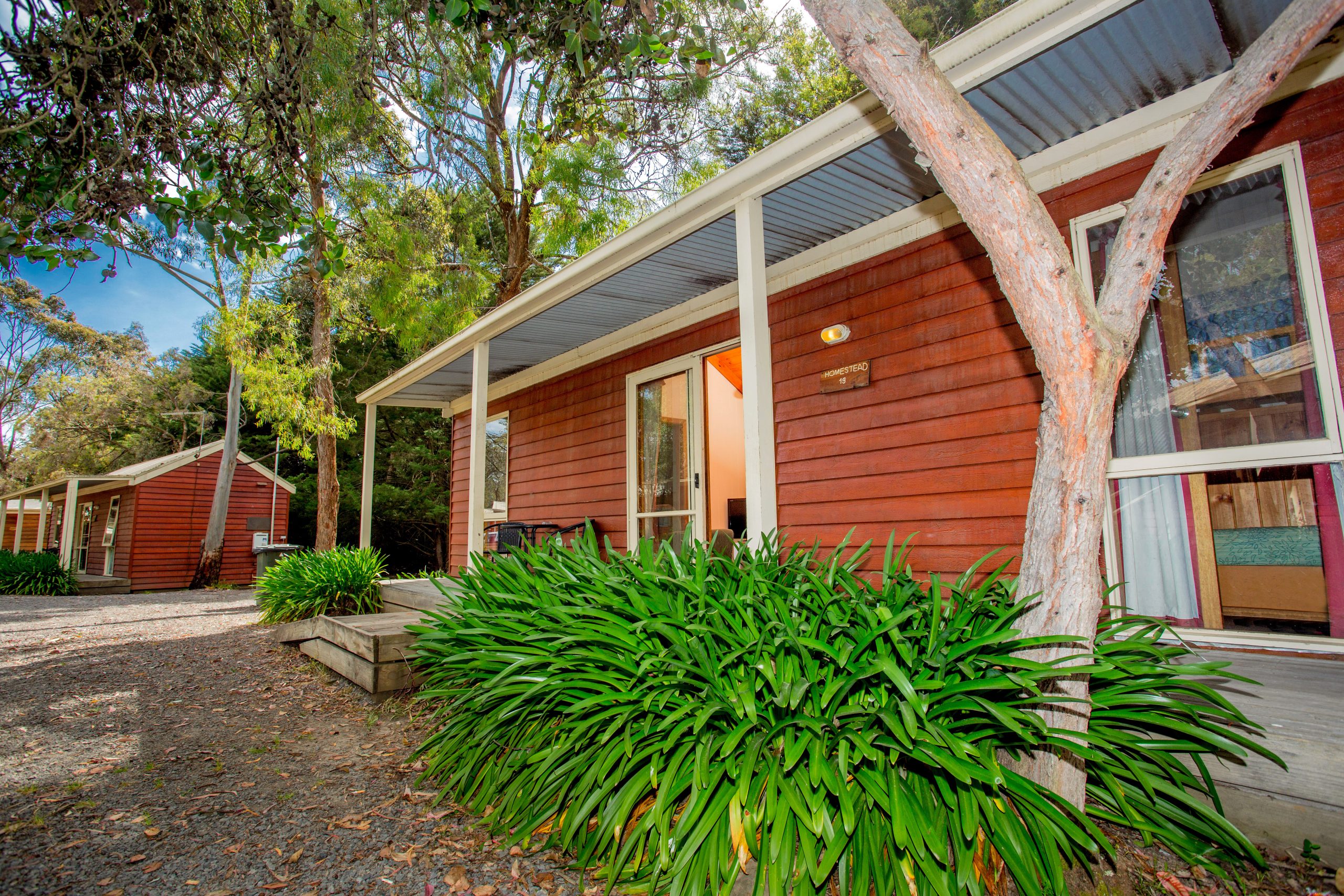Homestead Cedar Holiday Cabin - BIG4 Ballarat Windmill Holiday Park